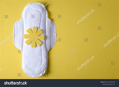 Female Hygienic Urological Pad Urinary Incontinence Stock Photo 2212995923 Shutterstock