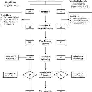Screening Enrollment Follow Up Of Participants In SexHealth Mobile Download Scientific