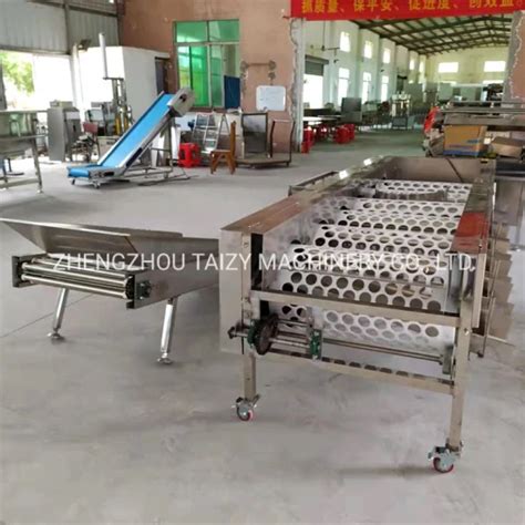 Stainless Steel Vegetable Fruit Sorting Machine Orange Selection