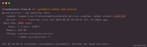 系统服务管理 systemd systemd analyze命令没有 csdn博客