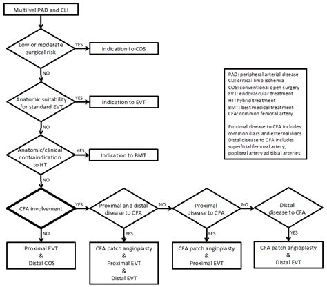 Cpt Code For Vein Patch Angioplasty Of Brachial Artery Billaim