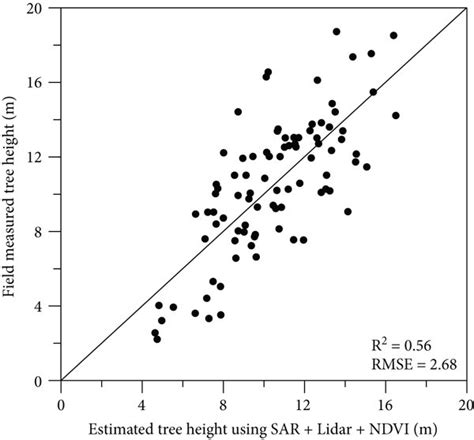 A Tree Height Derived By Sar And Lidar And B Tree Height Derived By