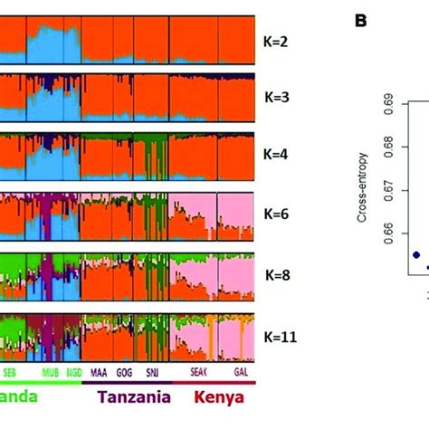 bayesian clustering performed with admixture software on the
