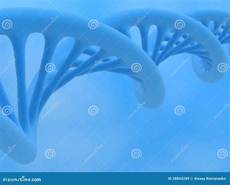 Thymine Molecular Structure 3d Model Molecule Nucleobases Structural Chemical Formula View