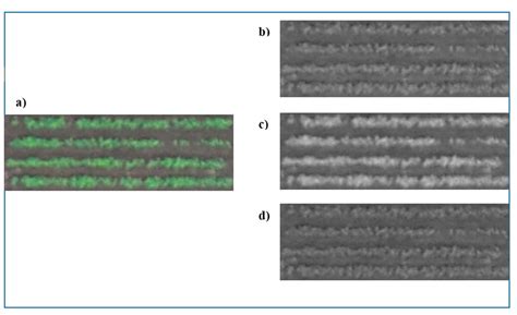 Prediction Of Soybean Plant Density Using A Machine Learning Model And Vegetation Indices