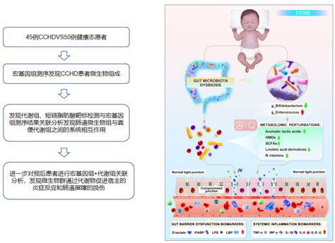 干货分享 肠道菌群研究怎么做？跟着高分文章学习肠菌代谢组研究思路 阿趣生物官网