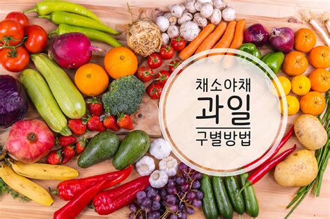 채소 야채 과일 차이 그리고 구분 방법 Oo로 끝