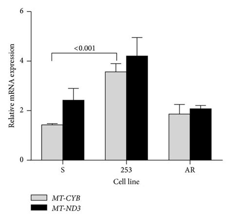 Relative Mrna Expression Of Mitochondrial Cytochrome B Mt Cyb And