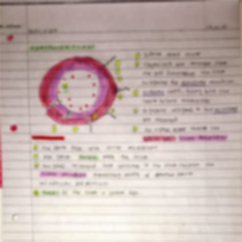 Solution A Level Biology Salters Nuffiled Structure And Function Of Solution A Level Biology Salters Nuffiled Structure And Function Of