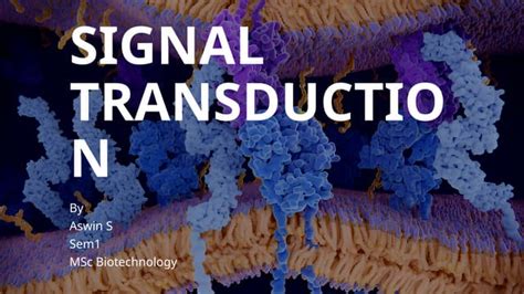 Principles Of Ecosystem Earth And Life Science Pptx