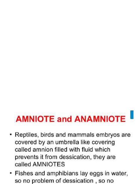Extraembryonic Membranes And Implantation Pdf Uterus Developmental Biology