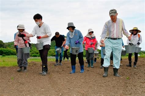 休耕田をコスモス畑に 住民ら30人が種まき 南房総房日新聞電子版