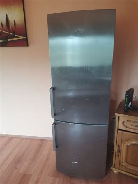 Hladilnik Z Zamrzovalnikom