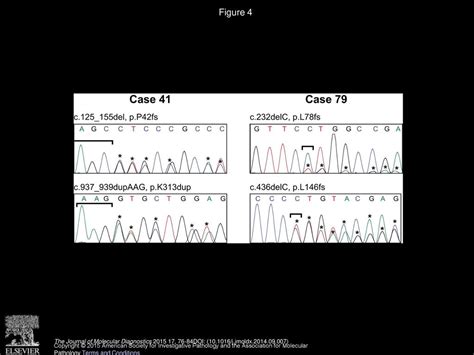 A Clinical Grade Sequencing Based Assay For Cebpa Mutation Testing Ppt Download