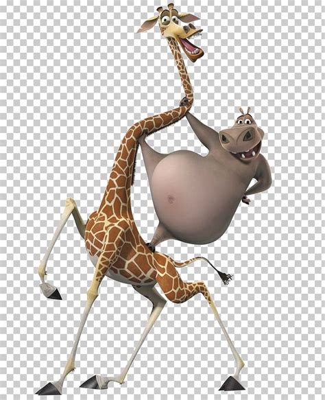 David Schwimmer Melman