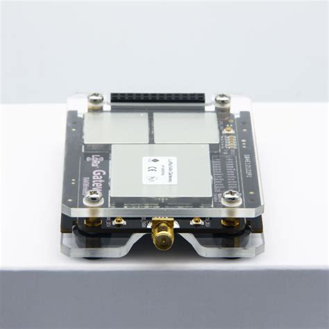 Rak831 Lora Lorawan Gateway Developer Kit With Raspberry Pi And Max 7q