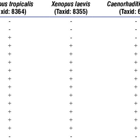 Pictorial Representation Of The Methodology Adopted To Identify Mirror