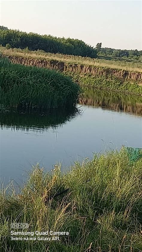 Оголошення Гощанської громади