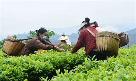 “共和国勋章”获得者——钟南山时图图片频道云南网