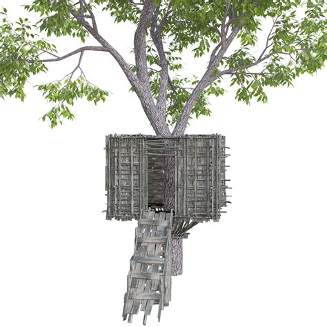 40000 Free Tree Cutout And Tree Images Pixabay