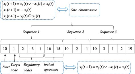 Figure 3 From Data Driven Boolean Network Inference Using A Genetic