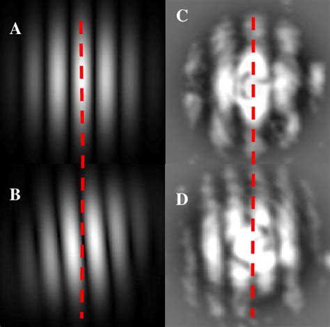 Microscopic Youngs Slits With Optically Trapped Particles A And B Download Scientific