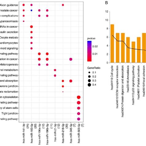 A Kegg Pathway Bubbles Enriched By Differentially Expressed Mirnas