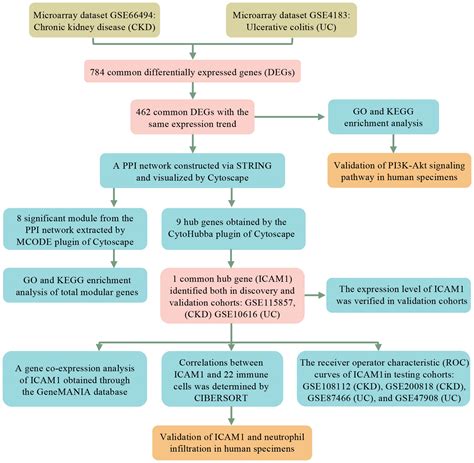 A Cytoscape Plugin To Assess Enrichment Of Ppt Download Lucoxcl