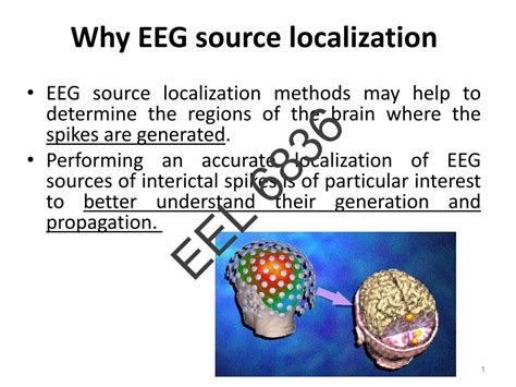 Pdf Why Eeg Source Localization Florida International Universityweb