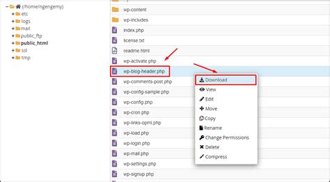 Cara Download File Pada Cpanel Hosting Hostdata Id