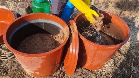 양평주말농장봄농사 초보농사 힐링 여유 친환경퇴비깻묵액비농막퇴비 Youtube