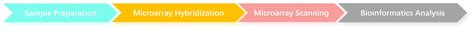 Dose Response Toxicity Evaluation Creative Diagnostics Dose Response Toxicity Evaluation Creative Diagnostics