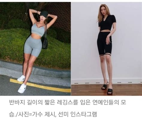 반바지 레깅스 Mlbpark