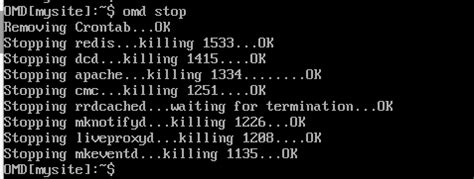 How To Start Stop A Checkmk Site Devopszones