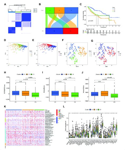 Clusters Analysis A Patients Divided Into Three Clusters B Sankey
