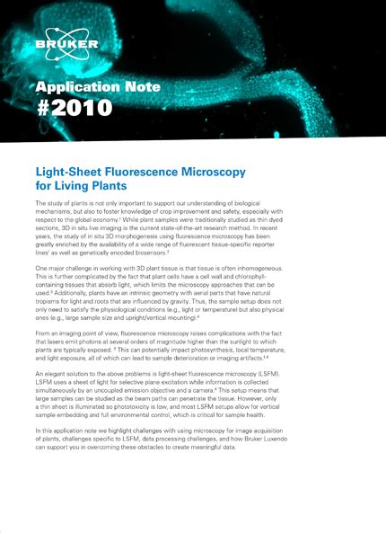 An2010 Light Sheet Fluorescence Microscopy For Living Plants Bruker