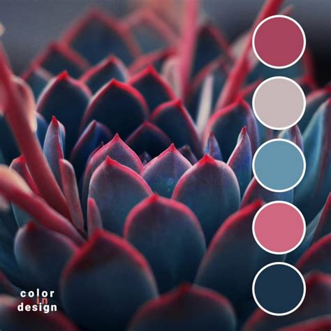 Сочетание цветов терракотовый зеленый циннвальдит