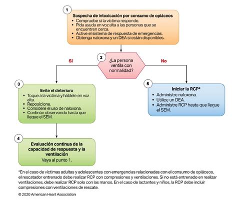 Actualización AHA 2020