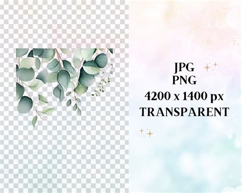 Eucalyptus Watercolor Border Eucalyptus Corner Border Wedding Etsy