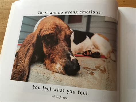 The Basset Hound Lowdown Sniffing Out The Best Bassety Goodness