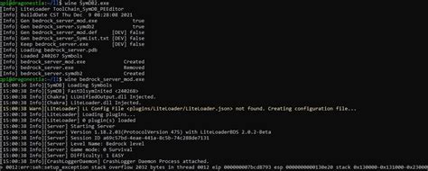 Problems With Running Ll On Linux Issue Liteldev Levilamina Github