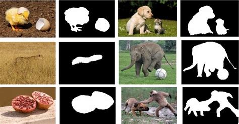 Hku Is Image Dataset This Dataset Contains 4447 Natural Images And