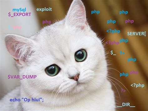 Start Stop Daemon Example For Yii2 Console By Serhii Kholmohorov Medium