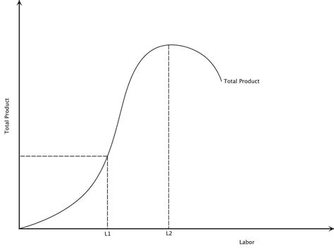 theory of production short run intelligent economist