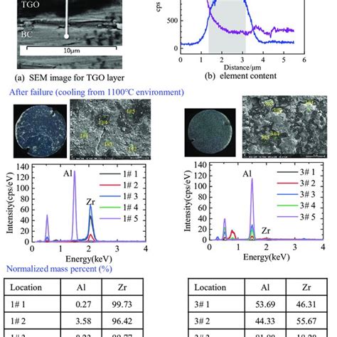 The Disk Shaped Superalloy Sample With Tbc And The Sem Image Of The Download Scientific Diagram