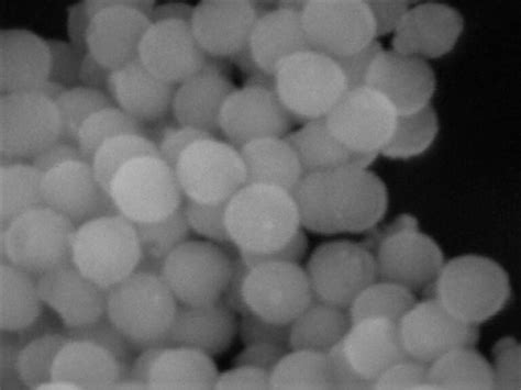 Tablet Mini Sem 새론테크놀로지