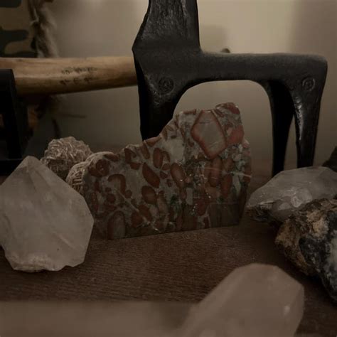 Paulina Fossil Limb Cast Rough Slab Slice Etsy