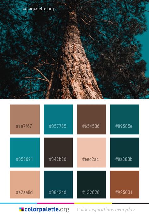 Tree Color Palette