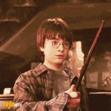 Harry Potter Harry Potter Characters  Harry Potter Harry Potter