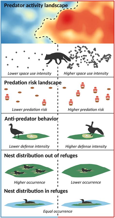 Landscape Of Fear Context In A Terrestrial Arctic Community The Download Scientific Diagram